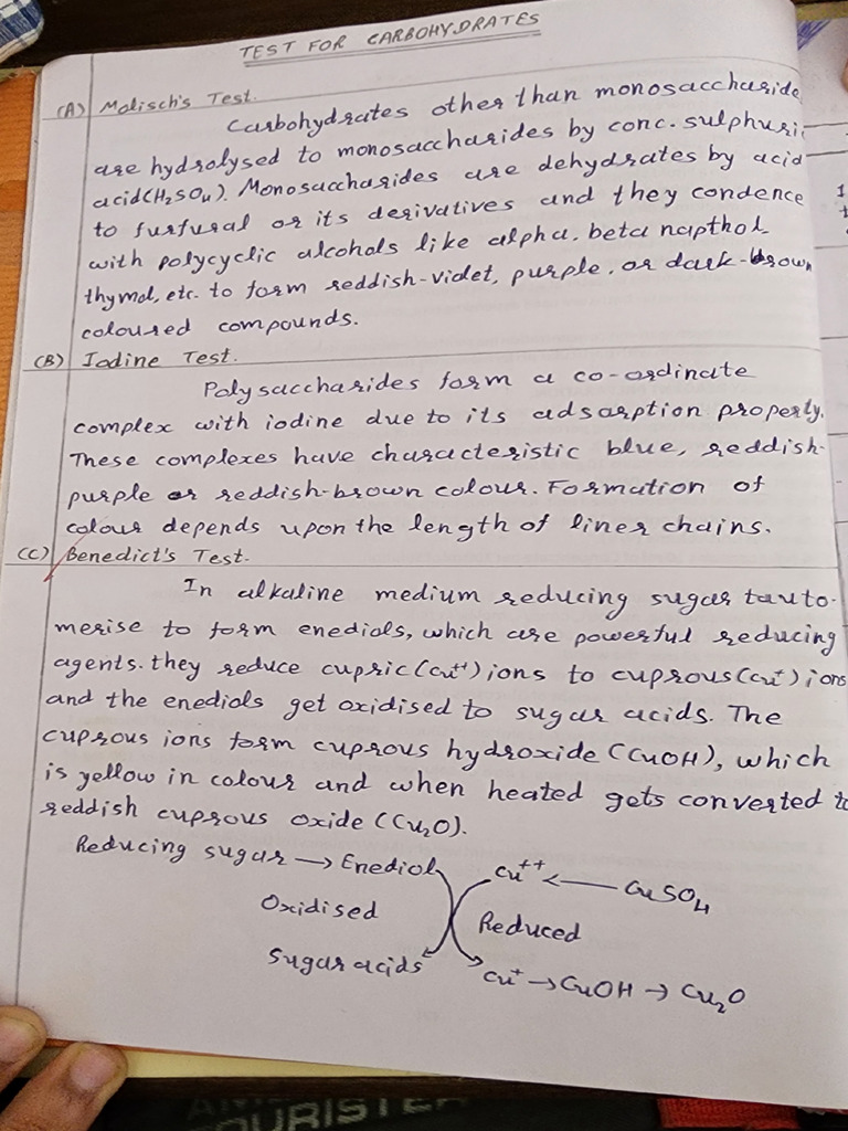 Carbohydrate Biochemistry | PDF