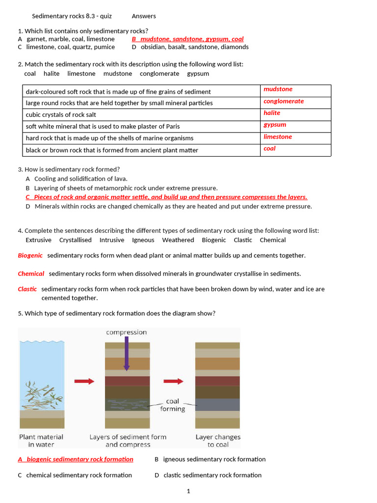 Sedimentary Rocks Quiz and Answers | PDF | Rock (Geology) | Sedimentary ...