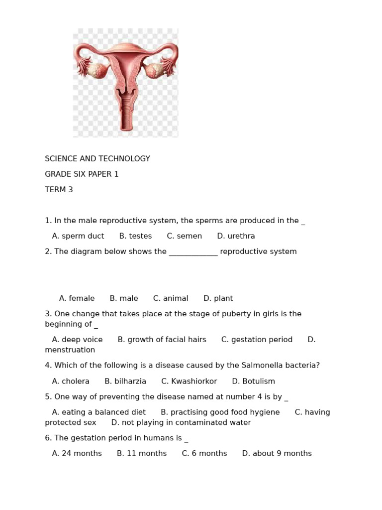 Science and Technology Grade 6 Paper 1-1 | PDF | Foods | Plants
