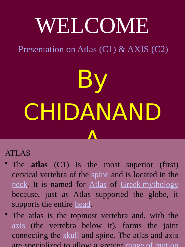 Atlas Axis | PDF | Vertebra | Skeletal System