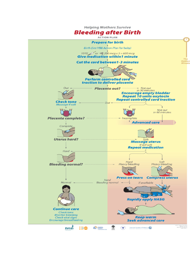 15) Bleeding After Birth | PDF