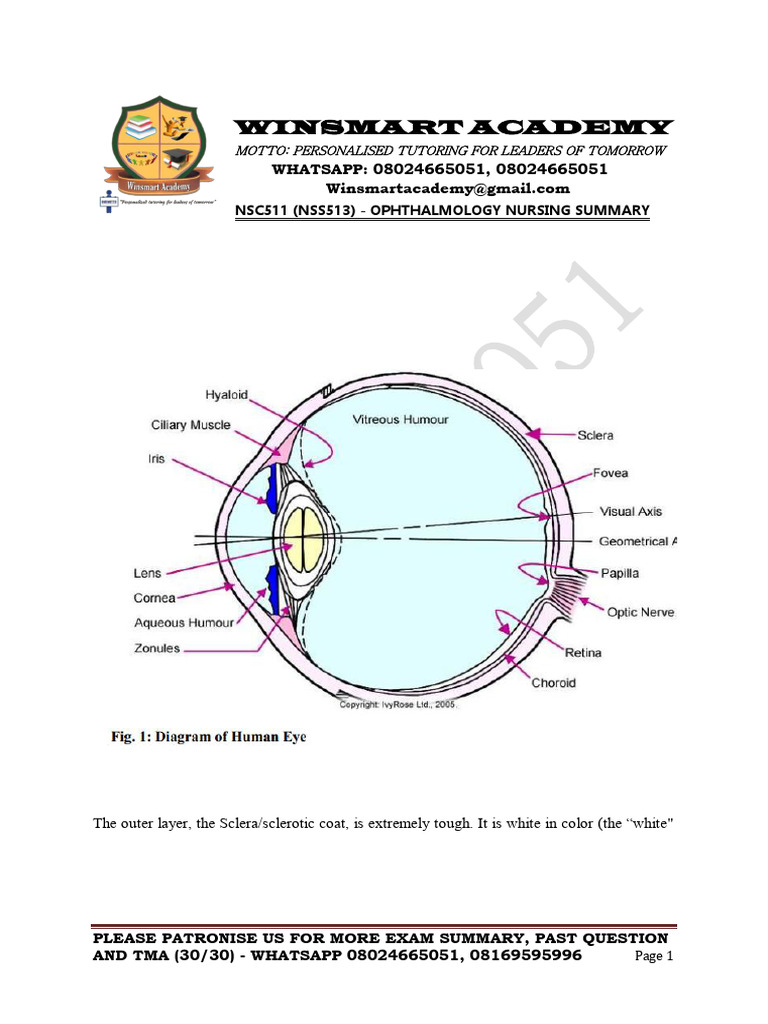 NSC511 (NSS513) Ophthalmology Nursing Summary 08024665051-1 | PDF ...
