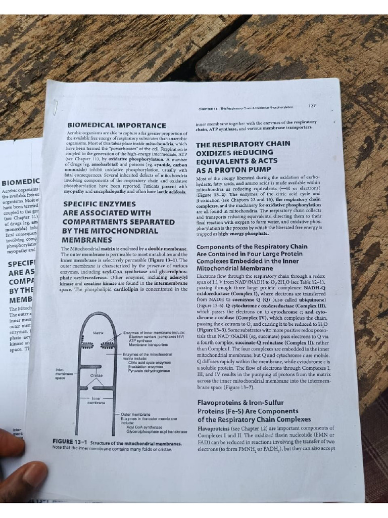 DR Chinaka Etc | PDF