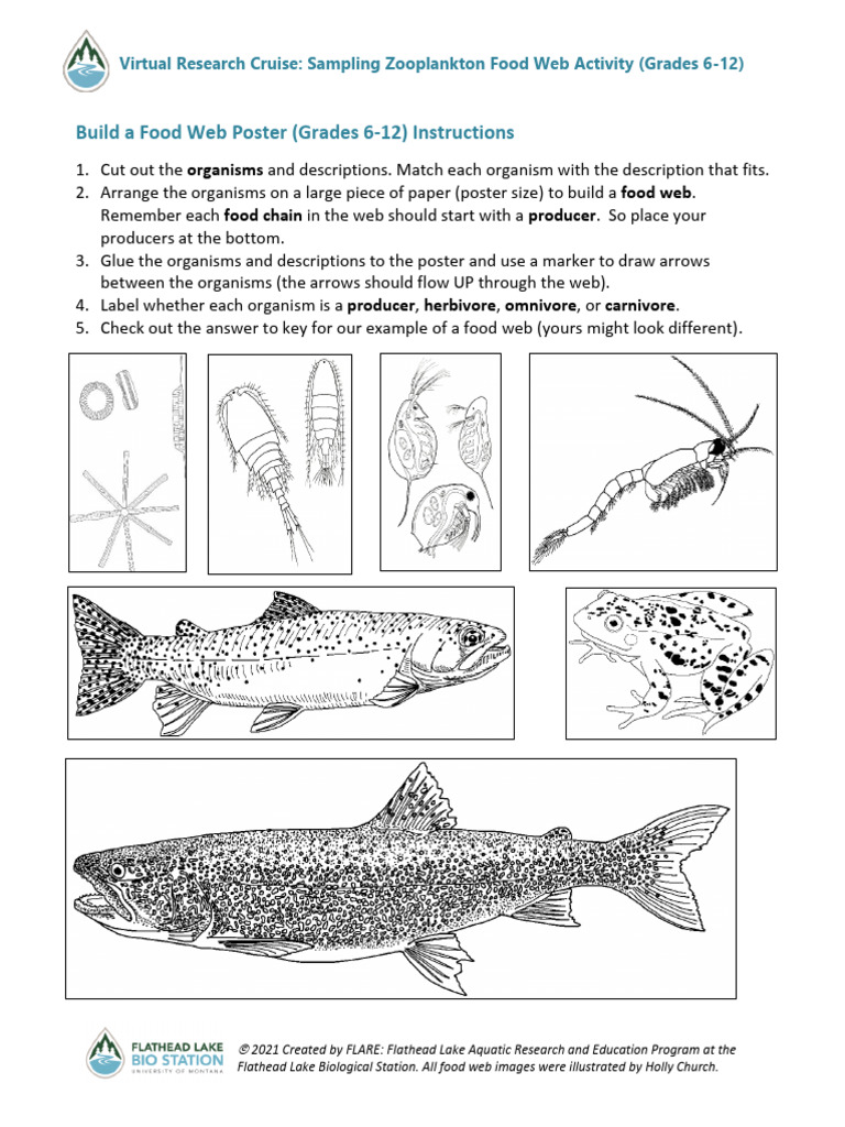 Zooplankton Food Web Activity Guide | PDF | Pond | Food Web