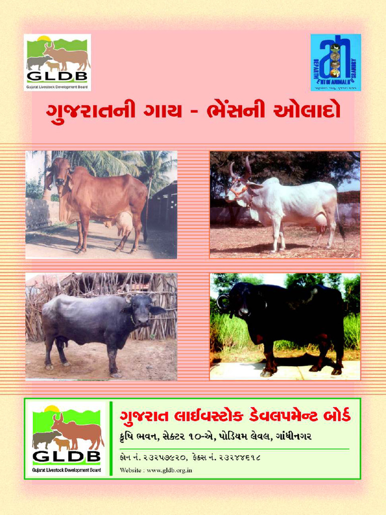 Cow Breeds Booklet | PDF