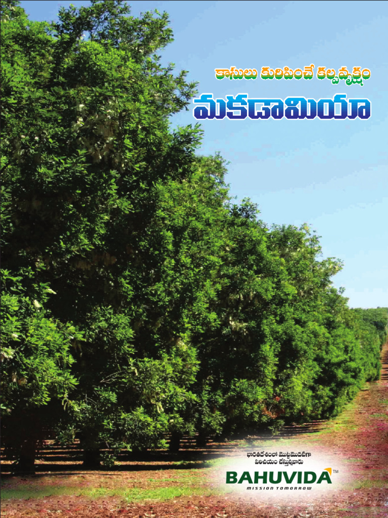 Macadamia (Telugu) Introduction Brochure by Bahuvida Limited | PDF