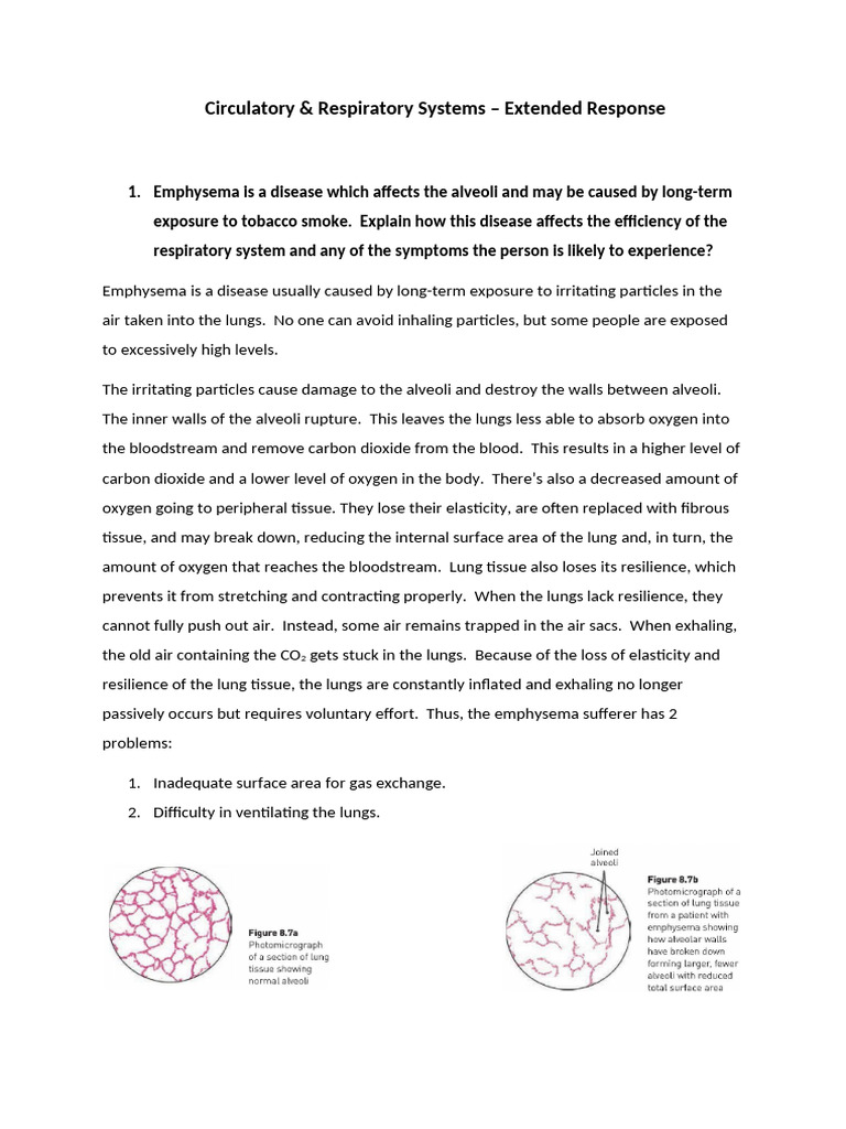 Circulatory - Respiratory Systems - Notes | PDF | Vein | Artery