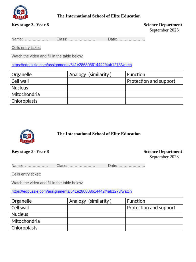 Year 8 Science: Cell Organelles Guide | PDF