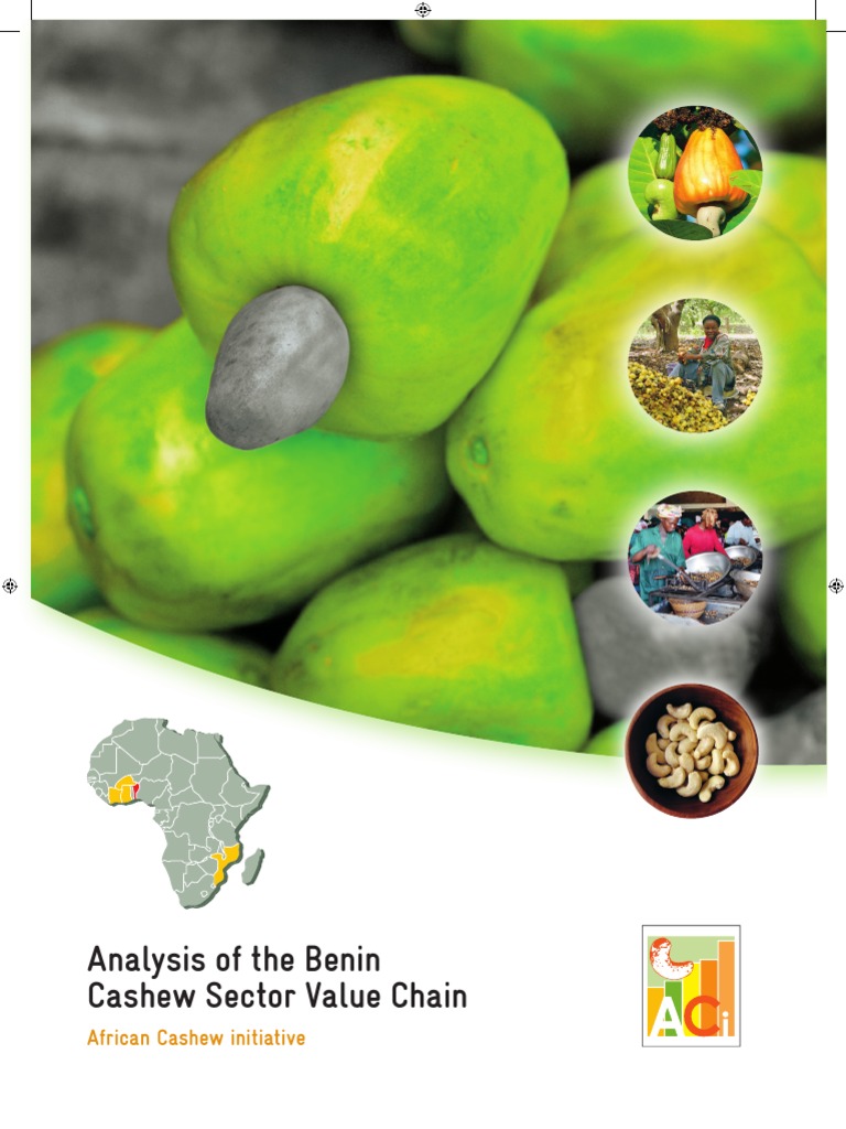 Cashew Processing in Benin | PDF | Agriculture | Value Chain