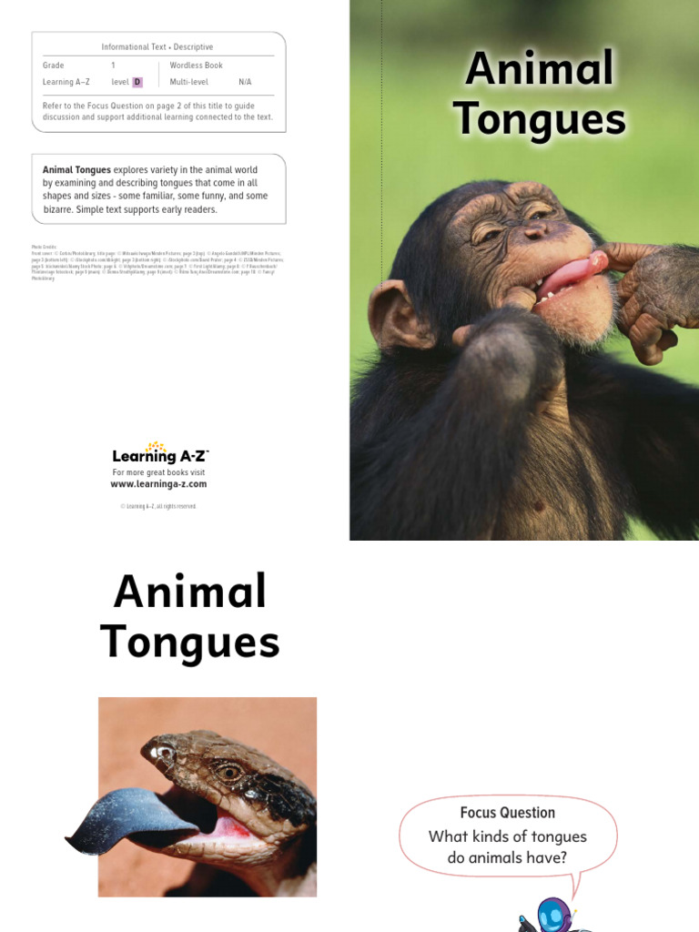Animal Tongues: A Fun Exploration | PDF