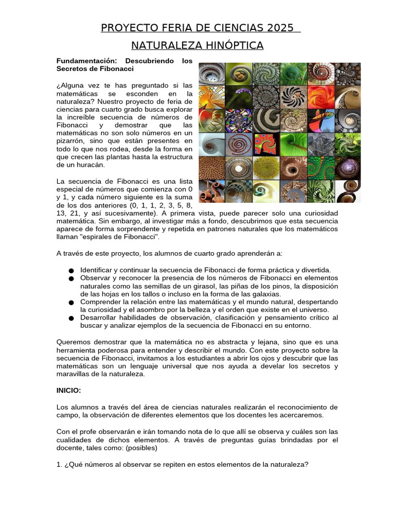 Proyecto Feria de Ciencias | PDF | Secuencia | Matemáticas
