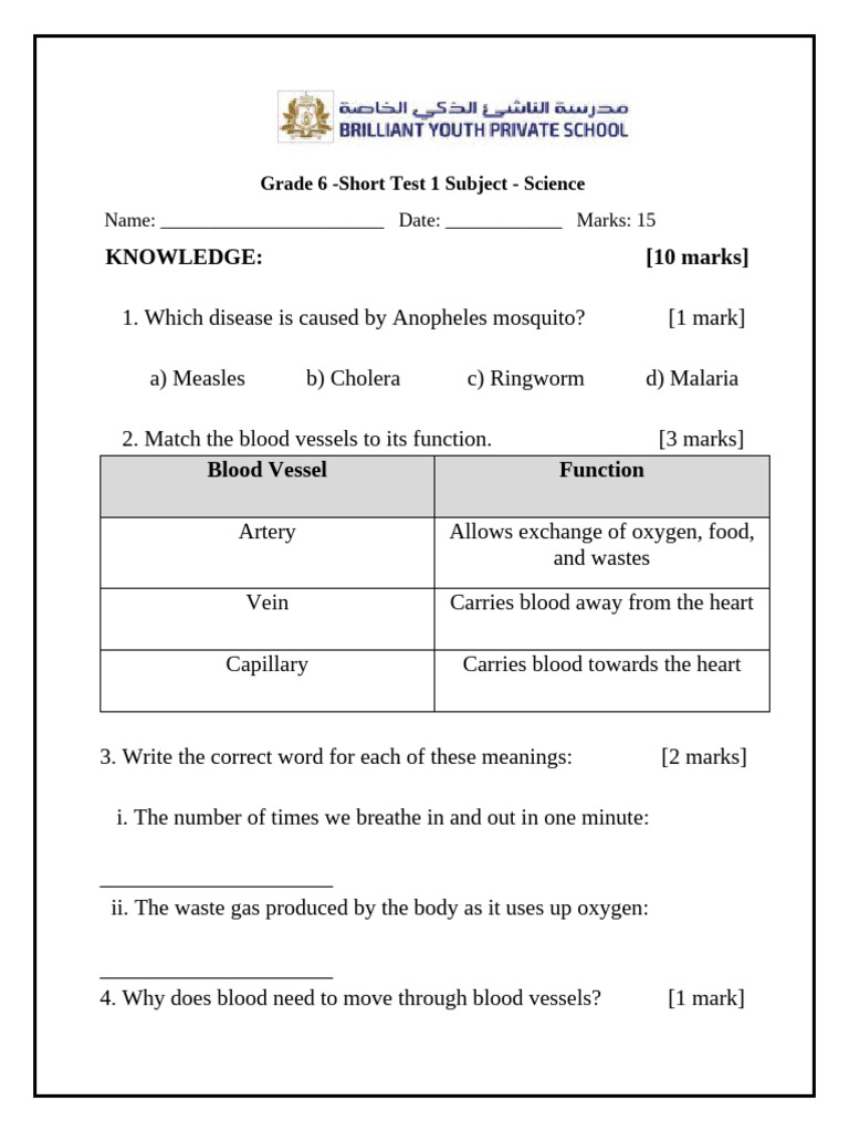 Grade 6 Science Short Question 1 | PDF | Blood | Blood Vessel