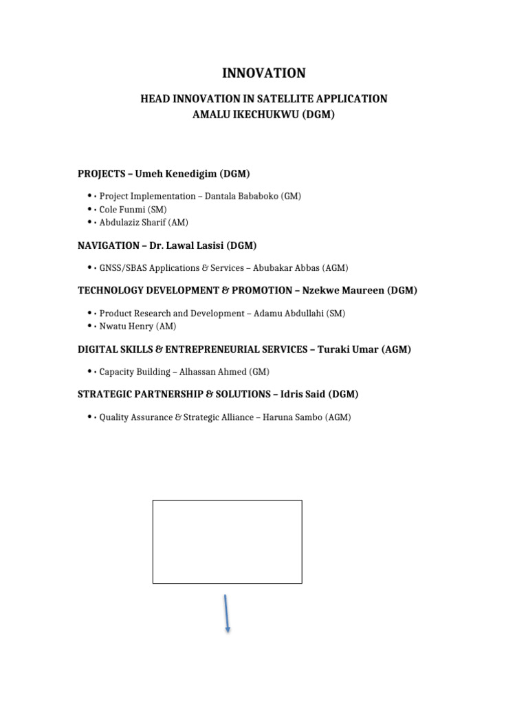 NigComSat Innovation OrgChart-1 | PDF