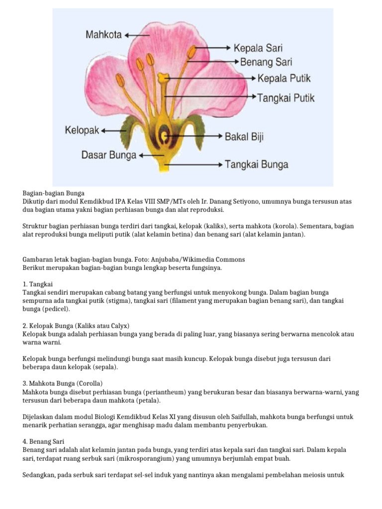 Struktur dan Fungsi Bagian Bunga | PDF