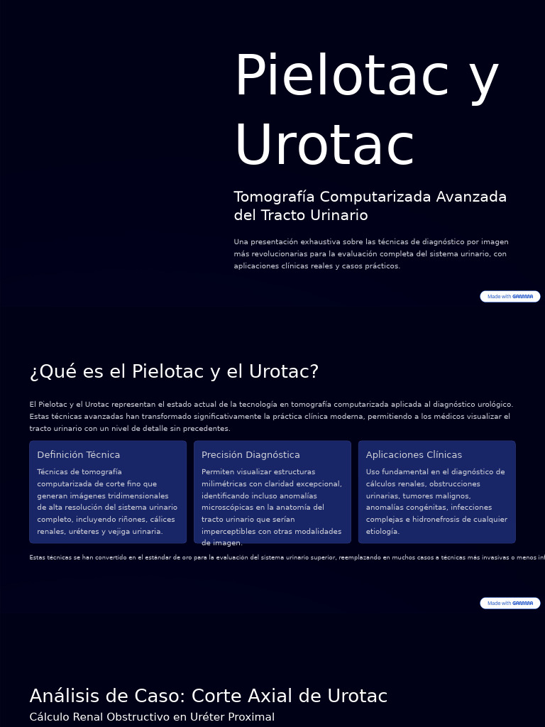 Pielotac y Urotac: Diagnóstico Urinario Avanzado | PDF | Ct Scan ...