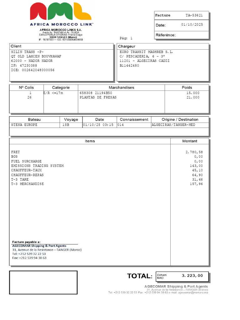 Silin Trans - P - 10a | PDF