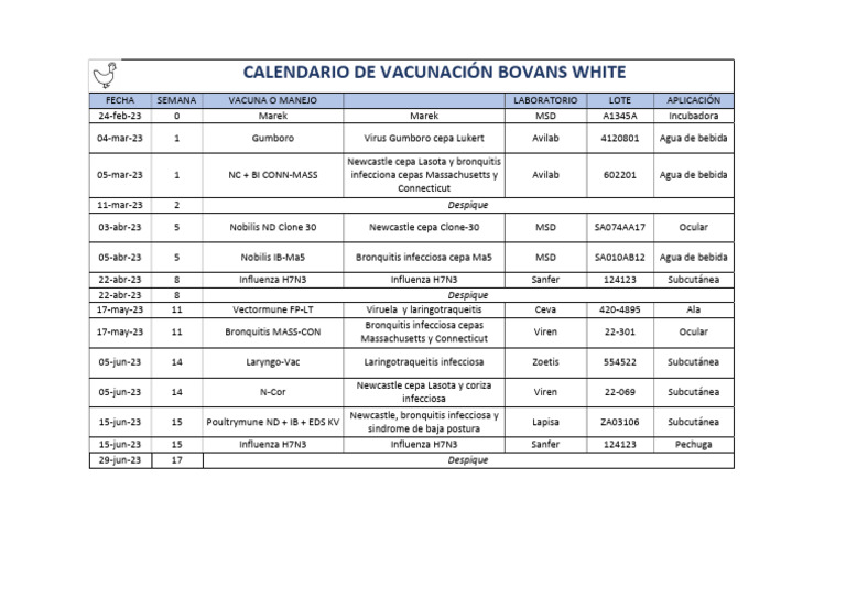 Calendario de Vacunación Bovans White | PDF | Influenza | Pediatría