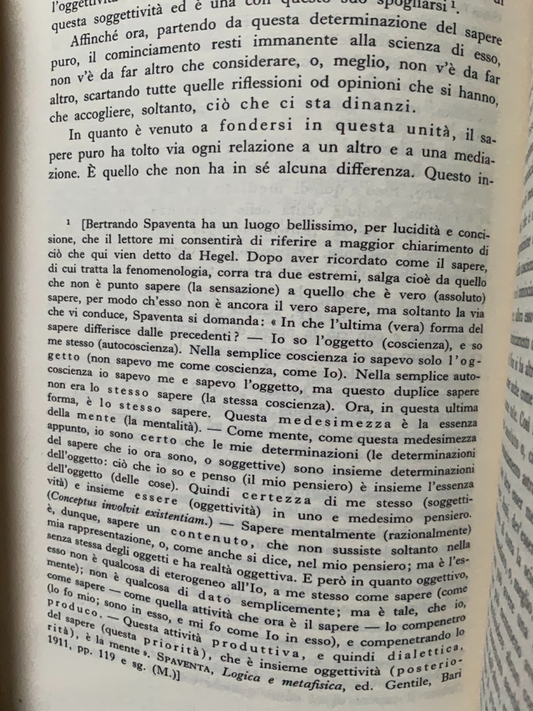 Hegel@Spav | PDF