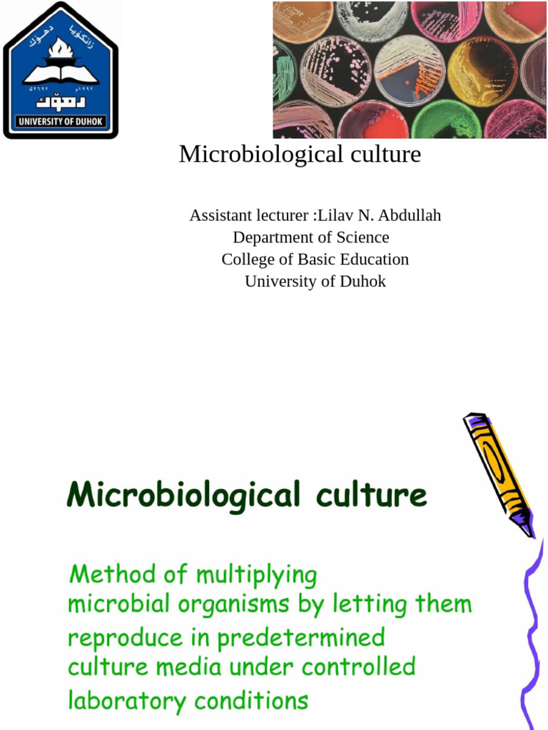 Culture Media PPT - Lab3 | PDF