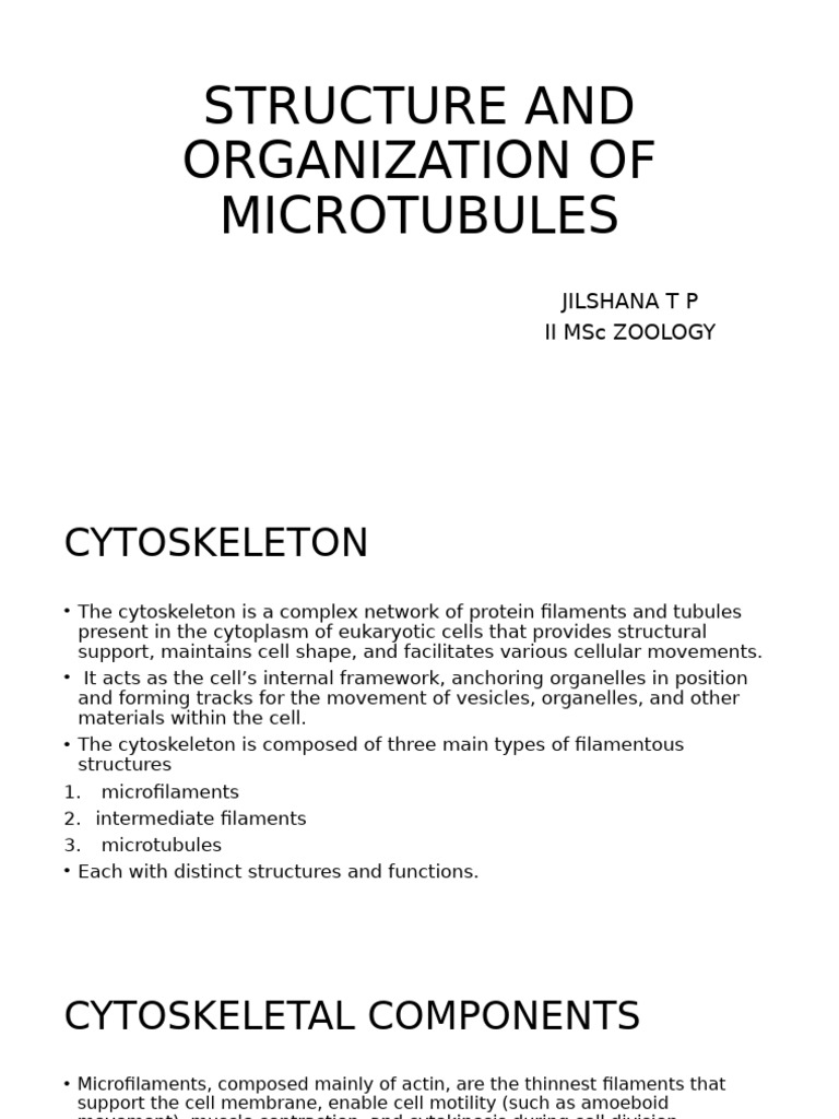 Microtubule Structure and Function | PDF | Microtubule | Cytoskeleton