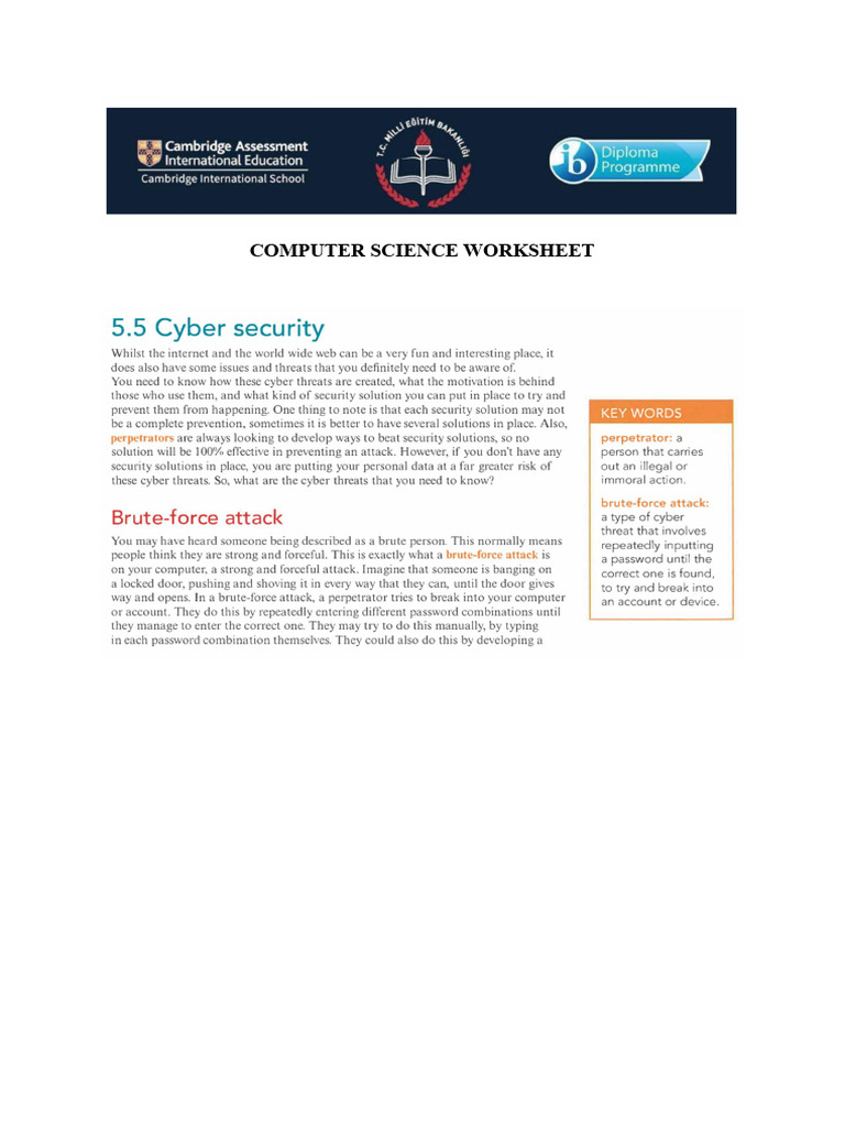 10 Grades Computer Science Worksheet | PDF