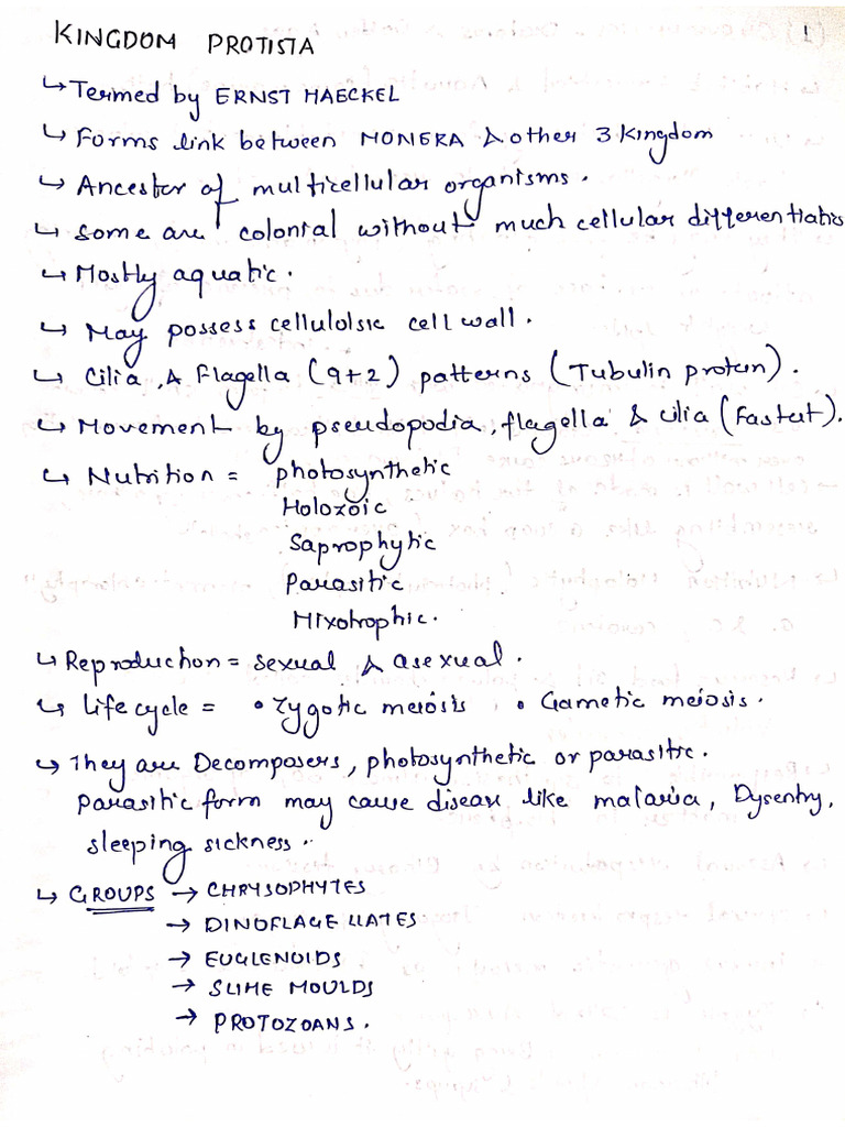Kingdom Protista | PDF
