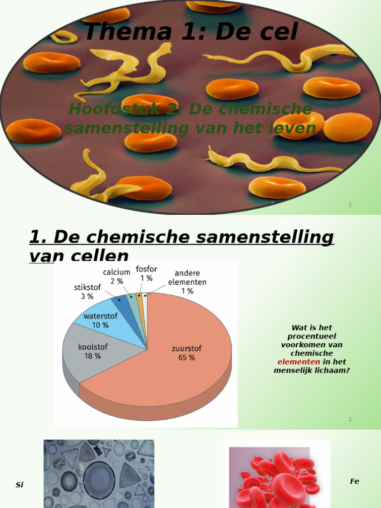 Thema 01 H2 de Chemische Samenstelling Van Het Leven | PDF