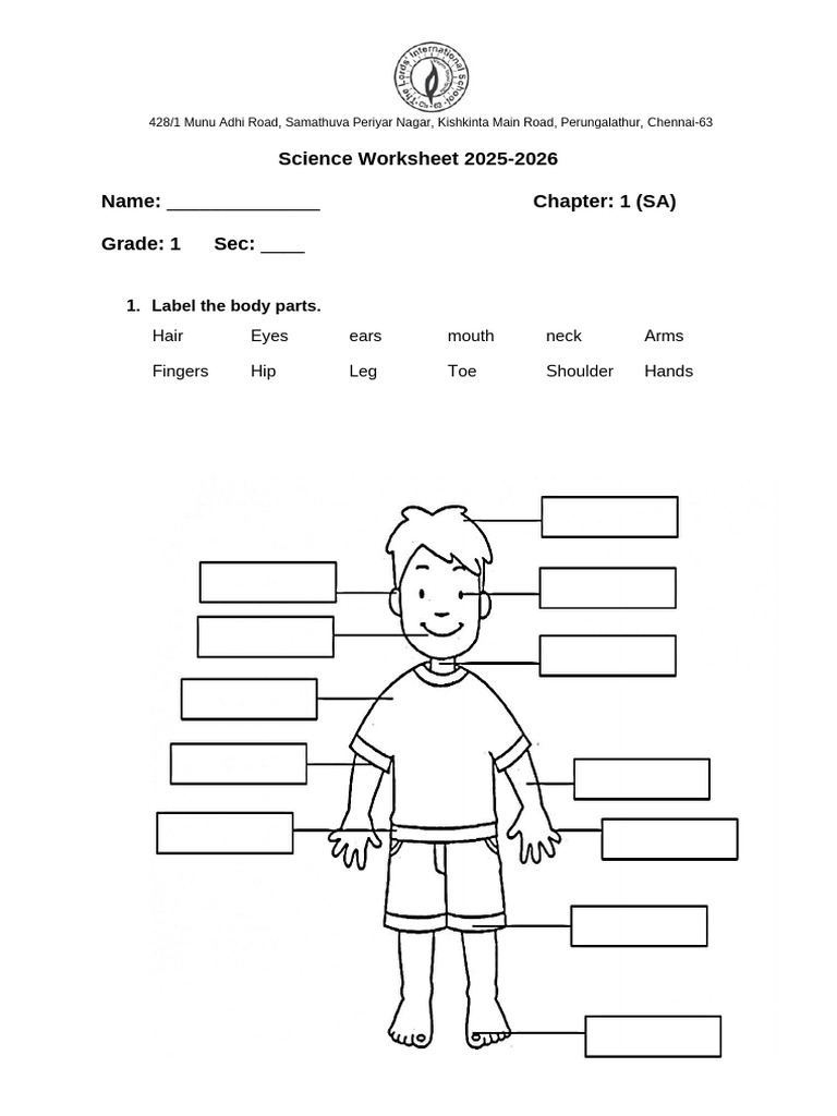 GR 1 CH 1 Body Parts SA | PDF