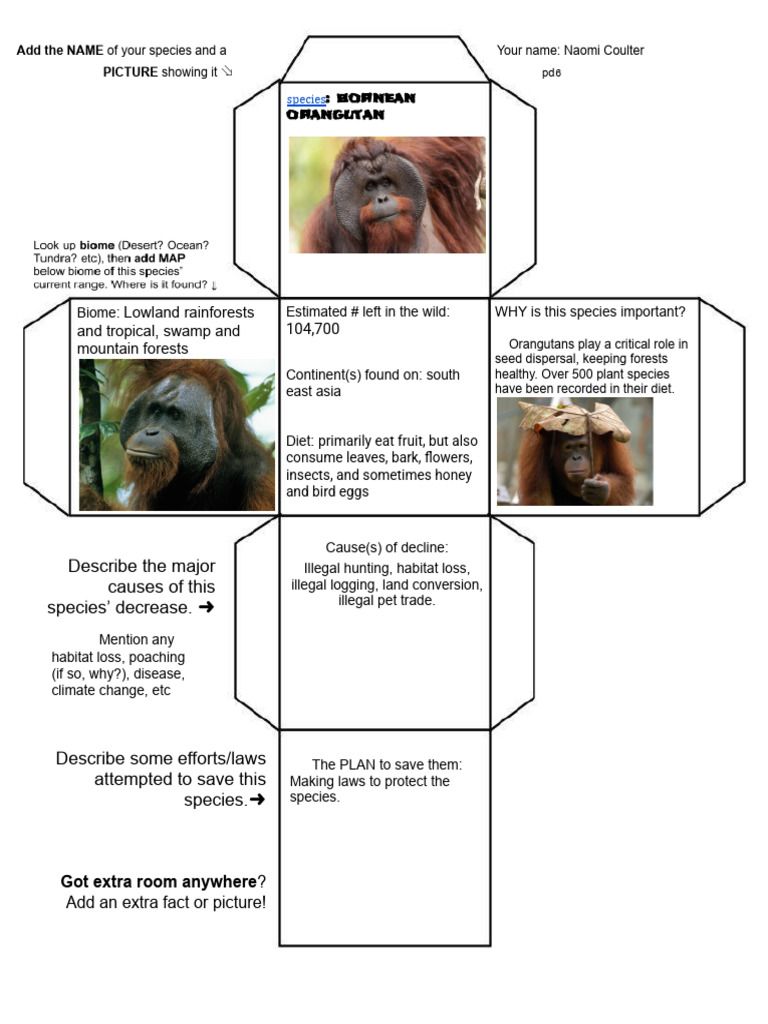 Endangered Species Cube TEMPLATE | PDF