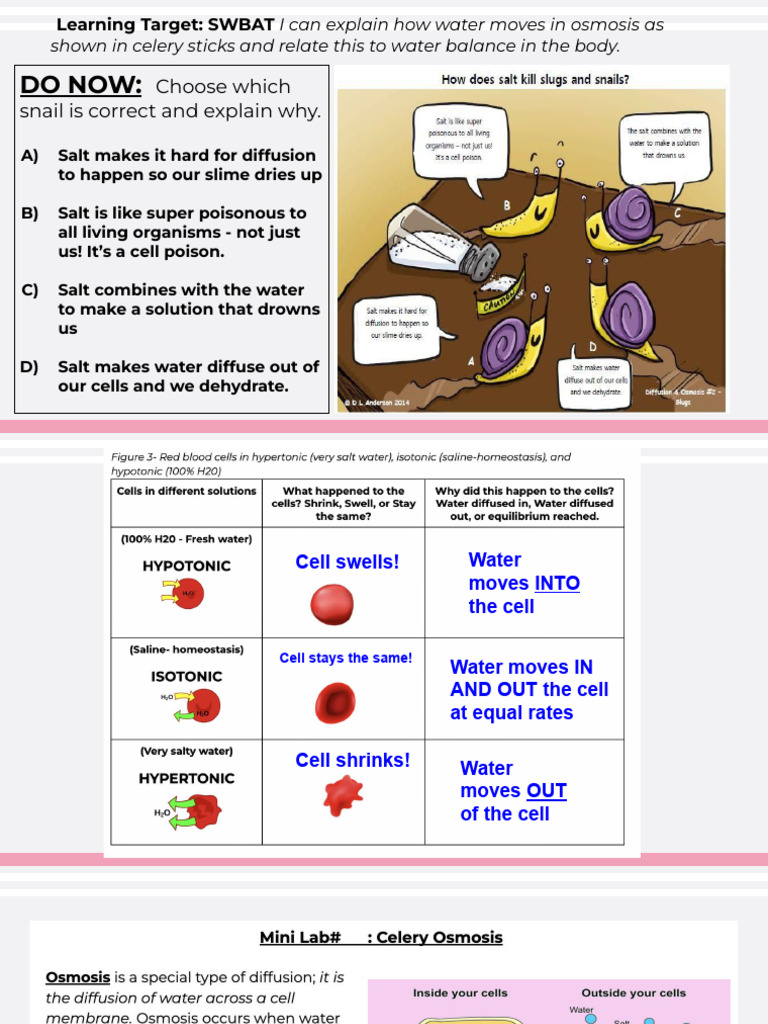 10 - 21 - Celery Osmosis | PDF
