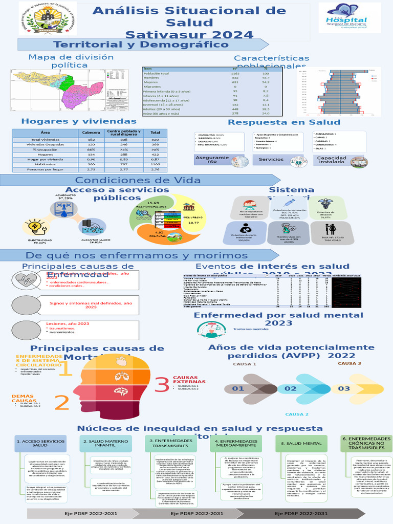 Infografía ASIS SATIVASUR 2024 | PDF | Salud mental | Enfermedades y ...