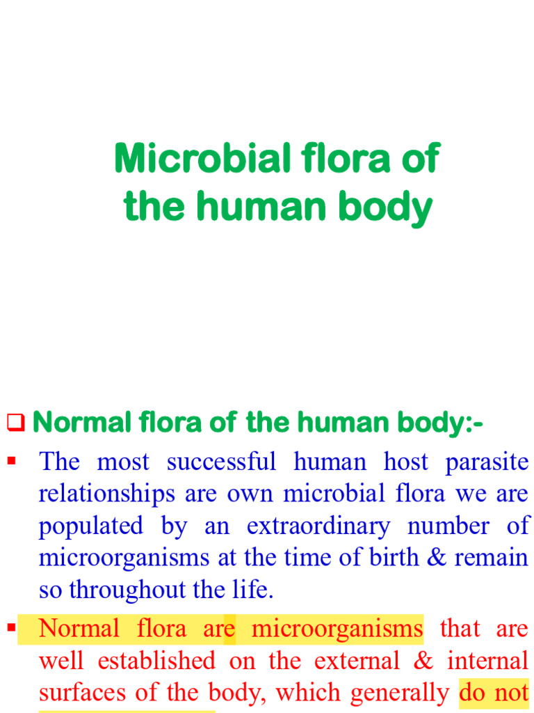 Normal Flora of the Human Body | PDF | Vagina | Microorganism