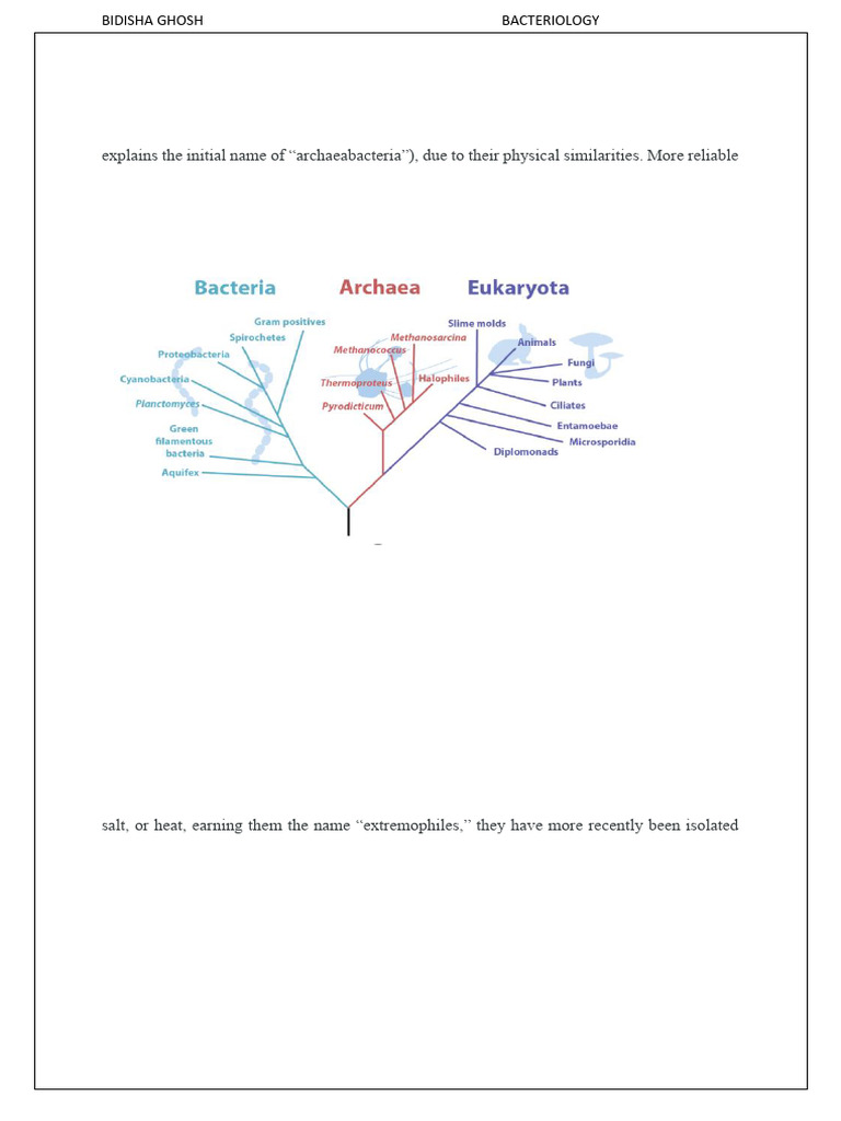 Archaebacterial Cell Wall | PDF | Archaea | Bacteria