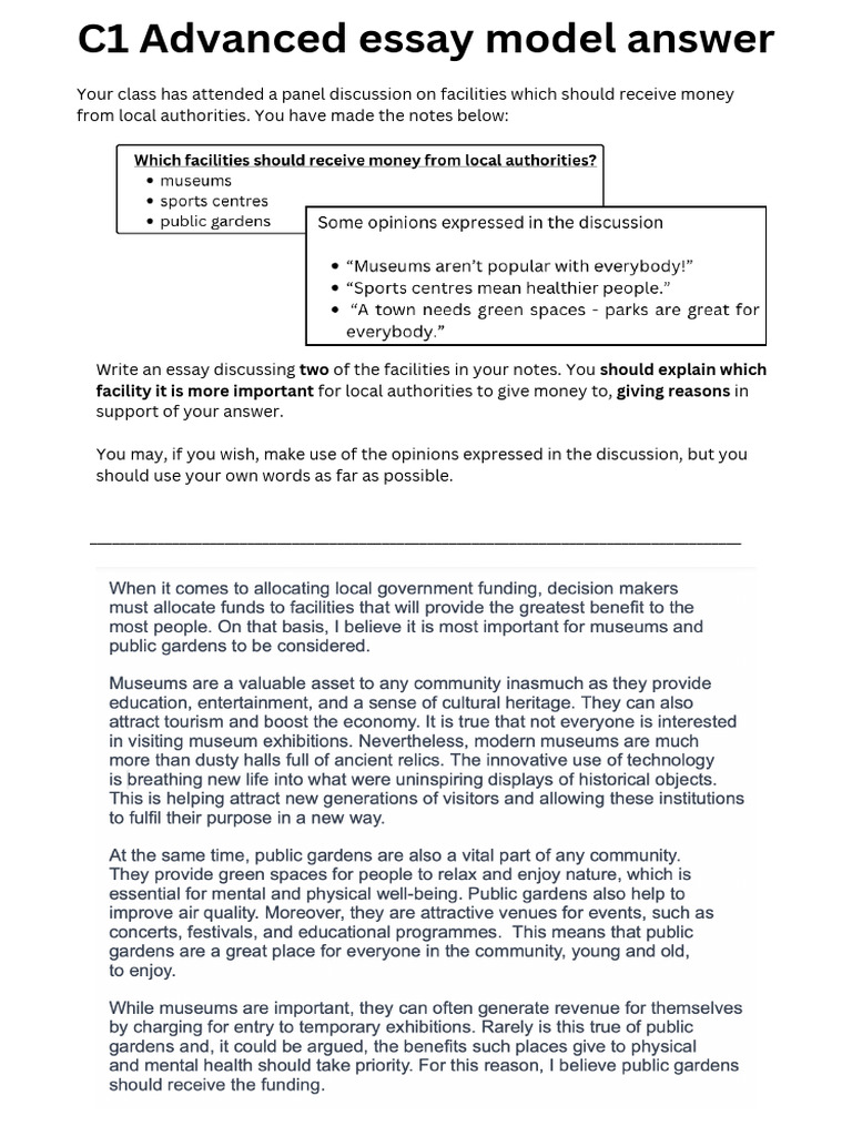 C1 Essay Local Government ORG | PDF