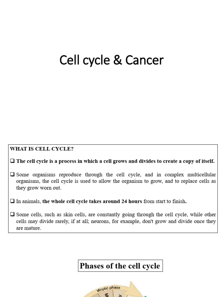 Life Science - Unit III Part 2 Cell Cycle & Cancer | PDF | Cell Cycle ...