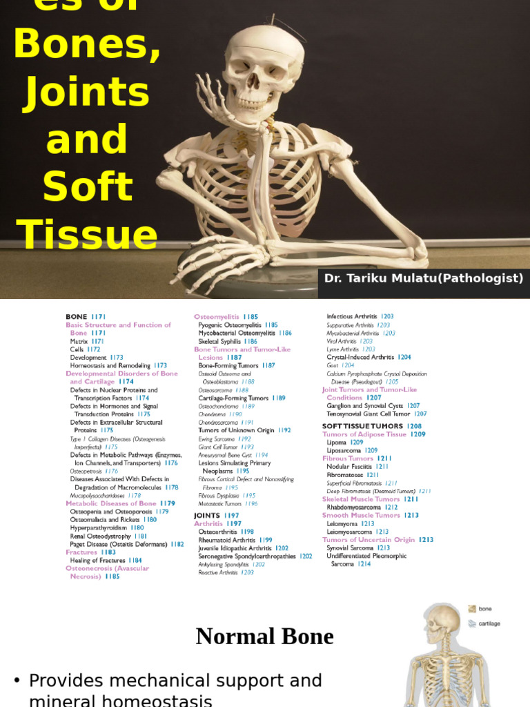 Overview of Bone Diseases | PDF | Osteoporosis | Bone