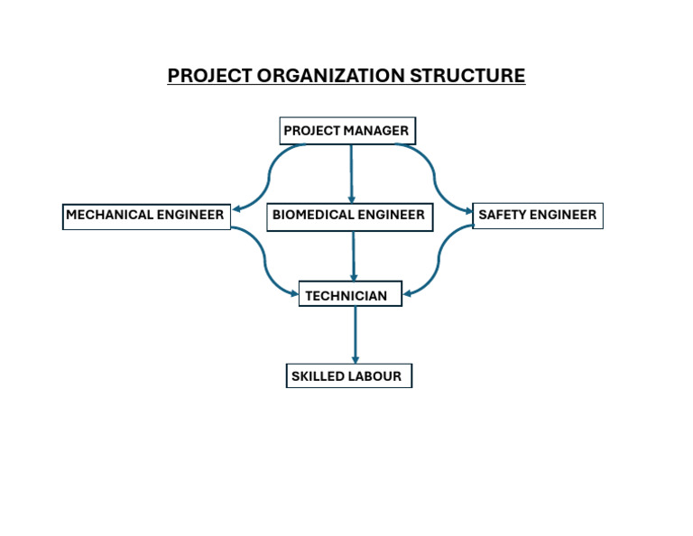 Project Organization Structure | PDF