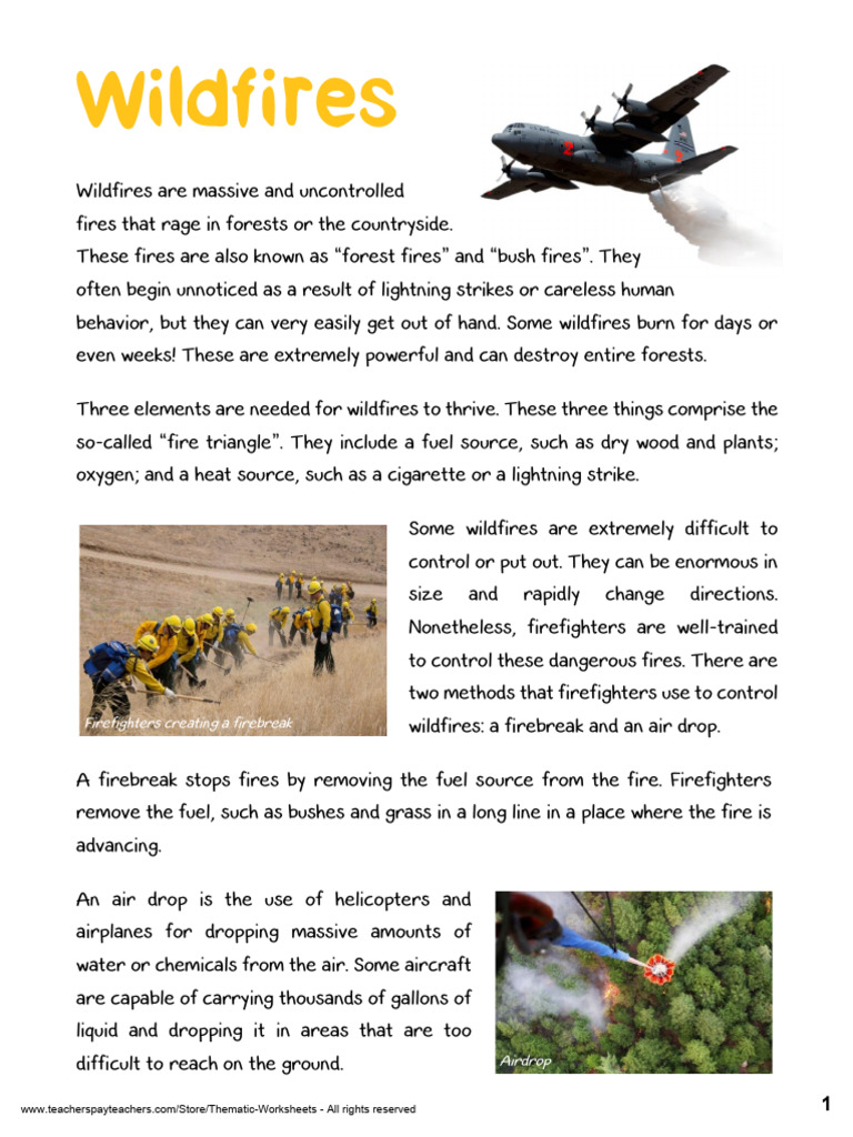 Understanding Wildfires: Causes & Control | PDF | Wildfire | Fires