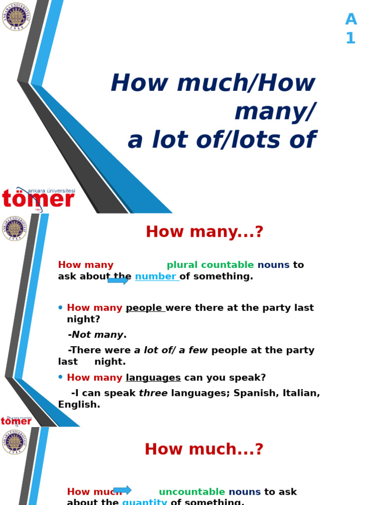 A1-How Much-How Many-A Lot Of-Lots of | PDF