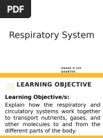 Bell Jar Model of Breathing Mechanics | PDF | Breathing | Lung