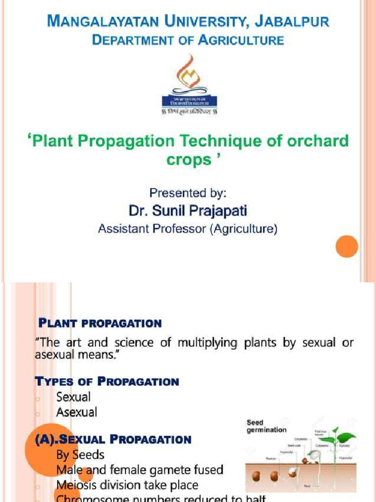 Methods of Plant Propagation Advantage | PDF