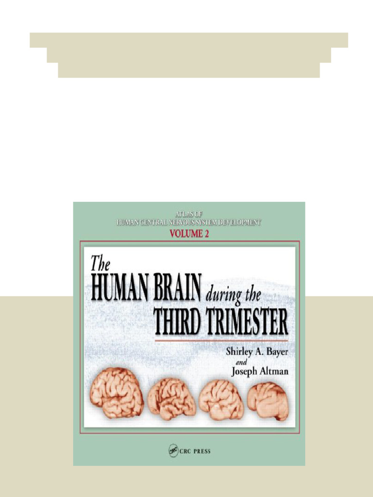 Atlas of Human Central Nervous System Development The Human Brain ...