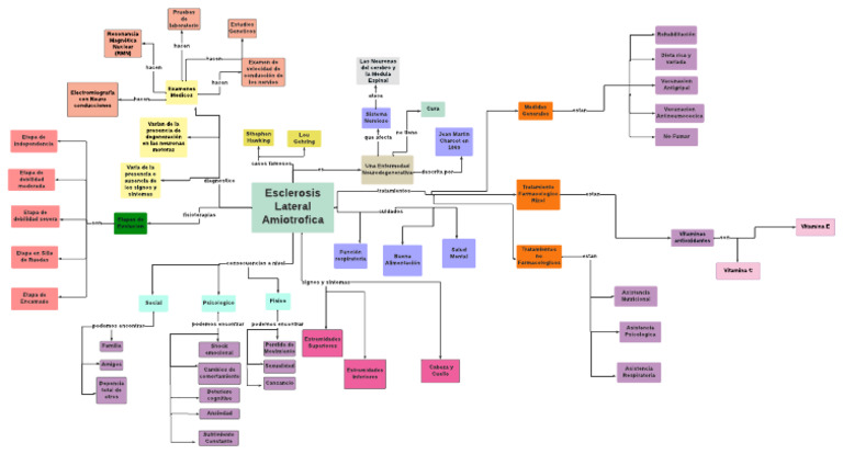 Mapa Conceptual ELA | PDF | Enfermedades y trastornos | Medicina