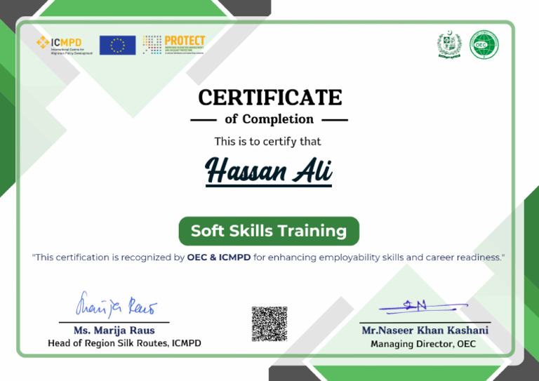 Certificate Softskill 964e45ad | PDF