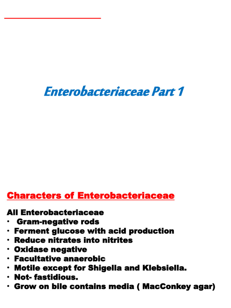 Enterobacteriaceae Overview and E. coli Insights | PDF | Urinary Tract ...