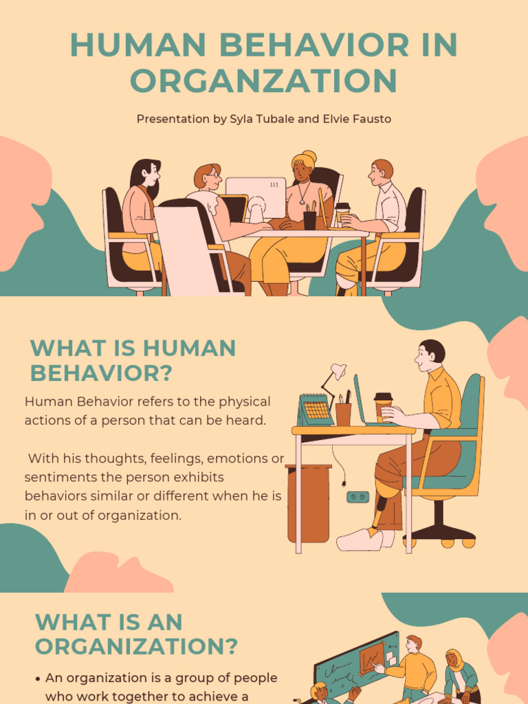 The Human Behavior in An Organization | PDF | Systems Theory | Motivation