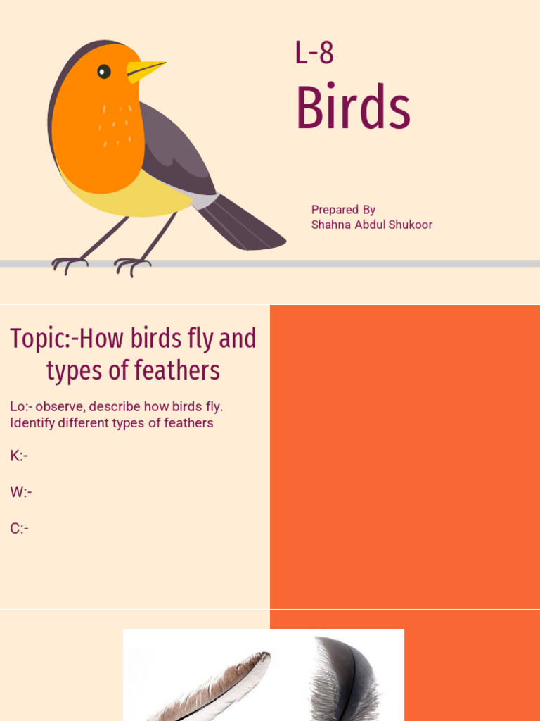How Birds Fly and Nesting Materials | PDF