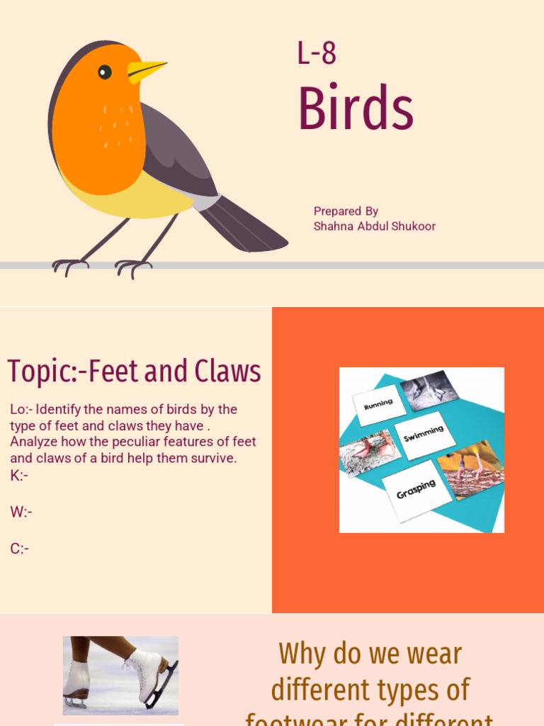 GR 3 - Bird Feet and Claw (Autosaved) | PDF | Claw | Birds