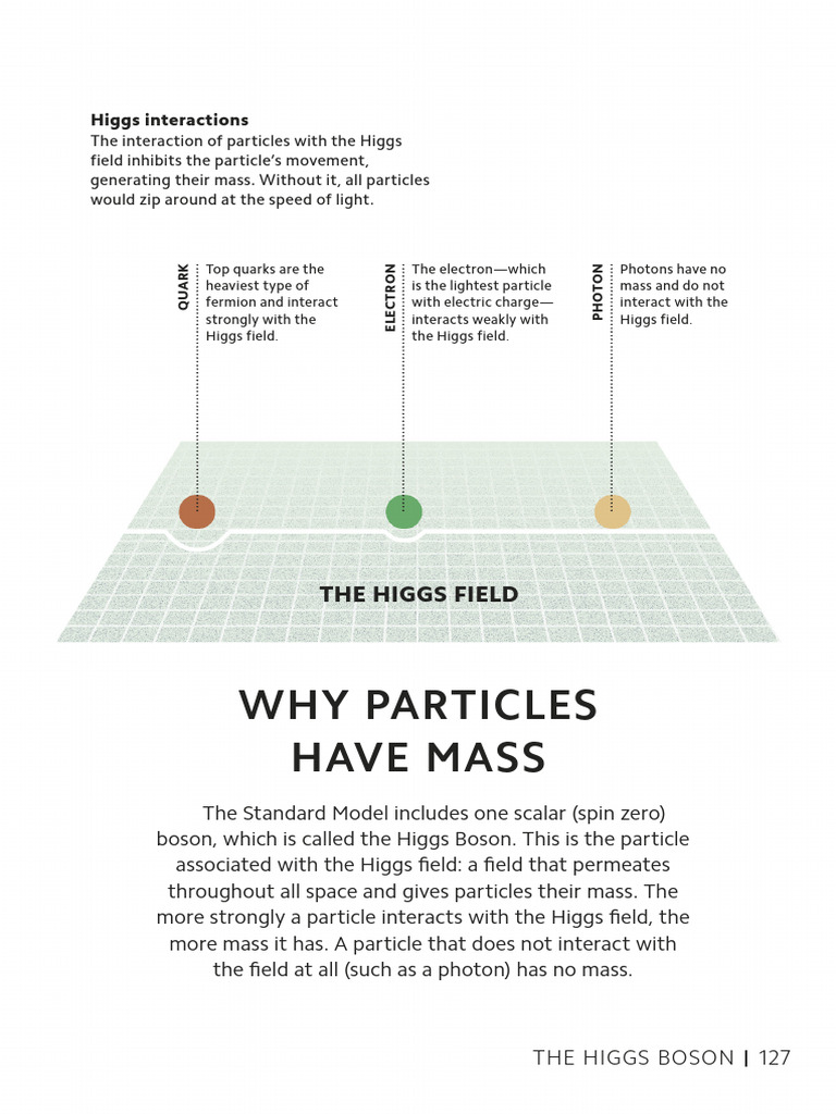 Simply Quantum Physics 129 131 | PDF | Elementary Particle | Matter