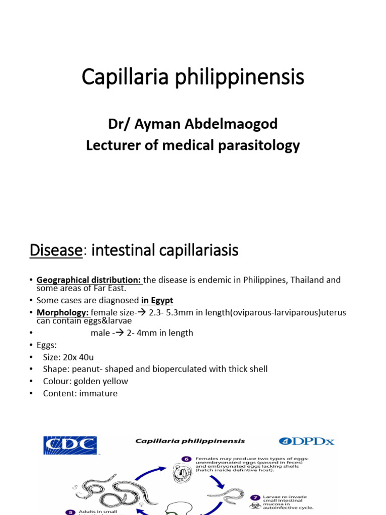 Capillaria Philippinensis | PDF